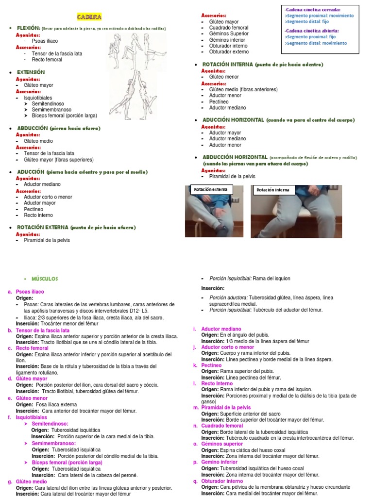 Cádera Examen | PDF | Tobillo | Sistema musculoesquelético