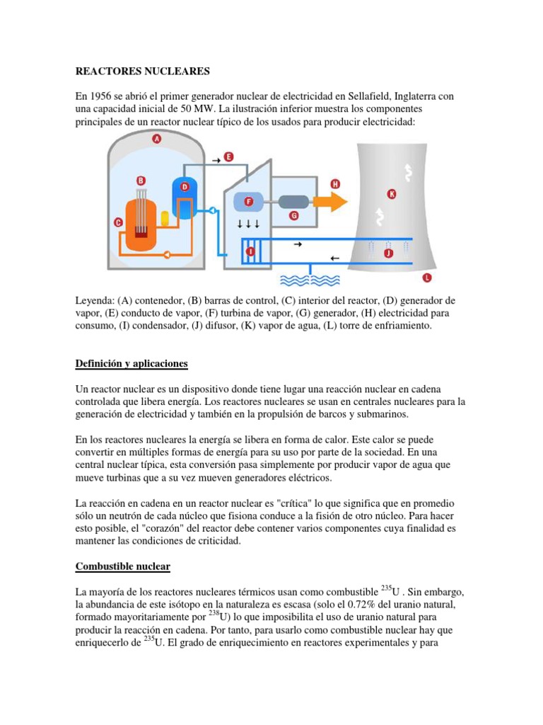 Reactores Nucleares | PDF | Reactor nuclear | La energía nuclear