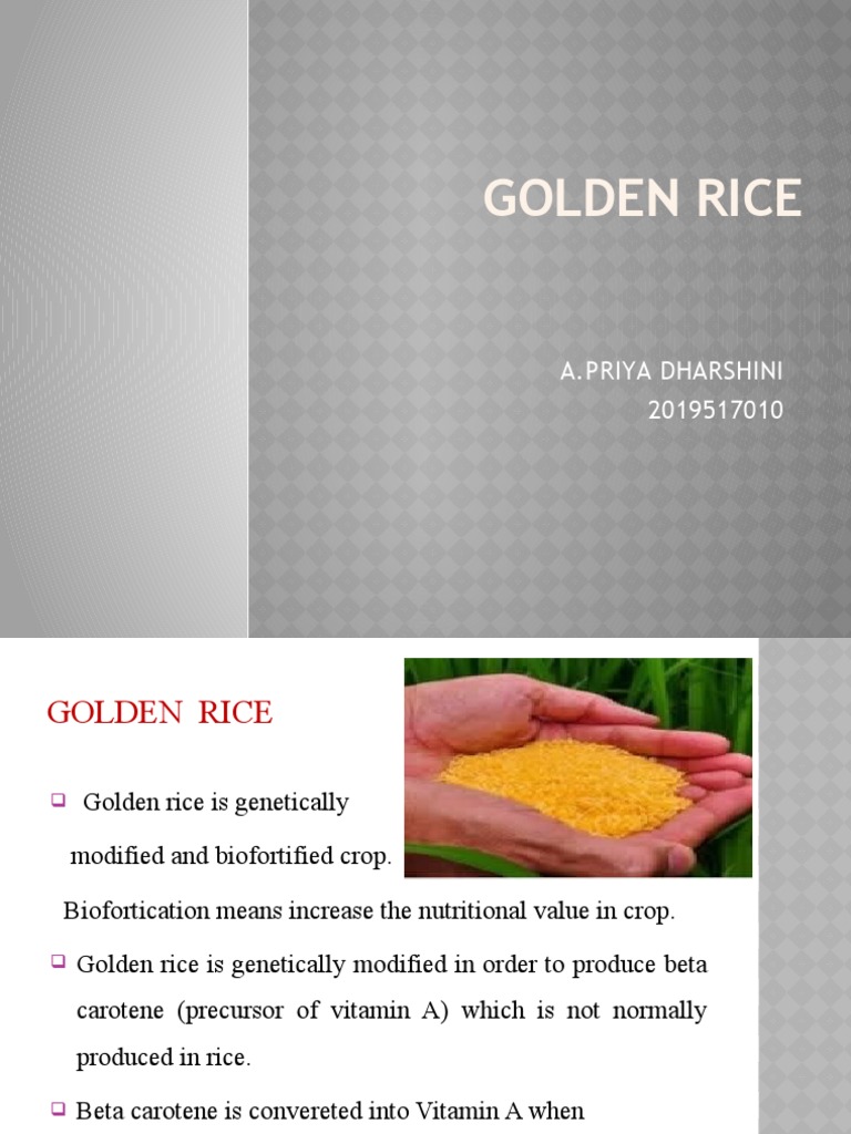 A Concise Explanation of Golden Rice: Its Development Through Genetic ...