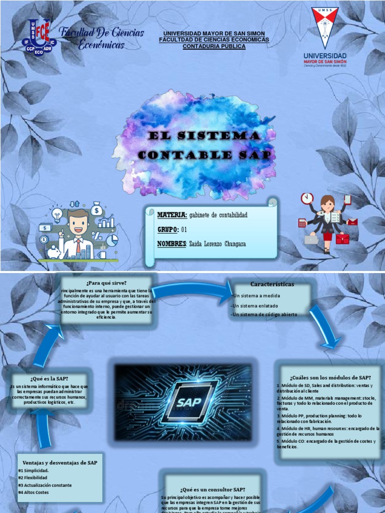 Sistema Contable Sap | PDF | Contabilidad | Gestión de recursos humanos