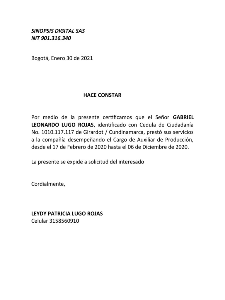 Sinopsis Digital Sas | PDF | Finanzas y administración del dinero