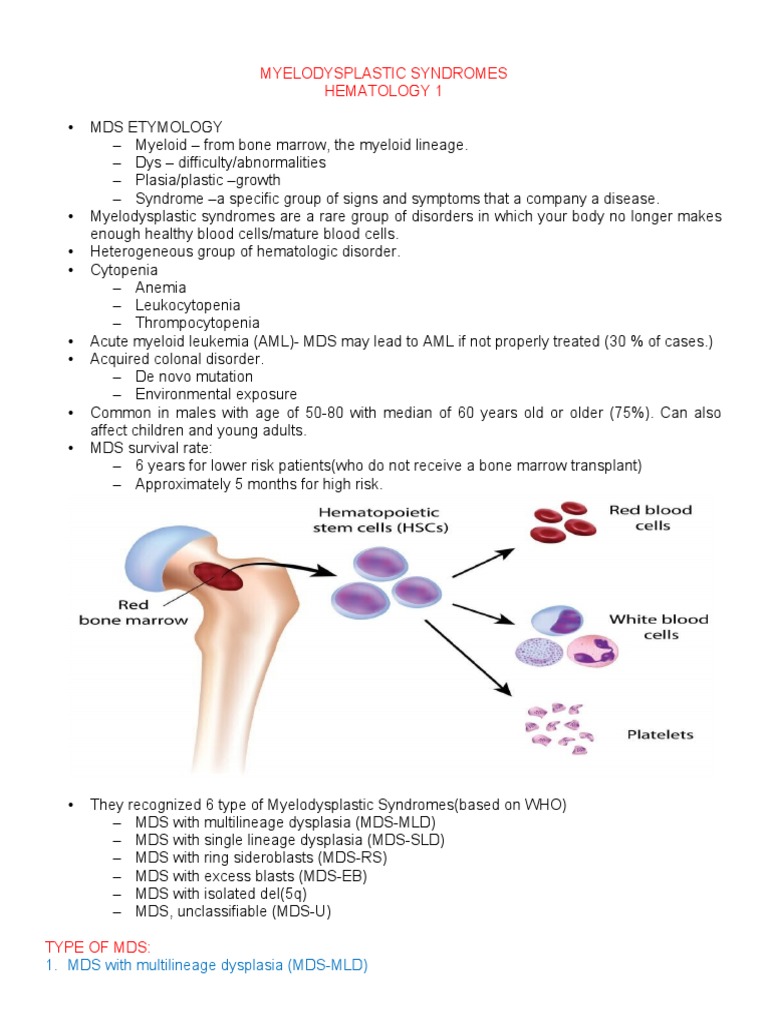 Myelodysplastic Syndrome | PDF | Hematopoietic Stem Cell ...