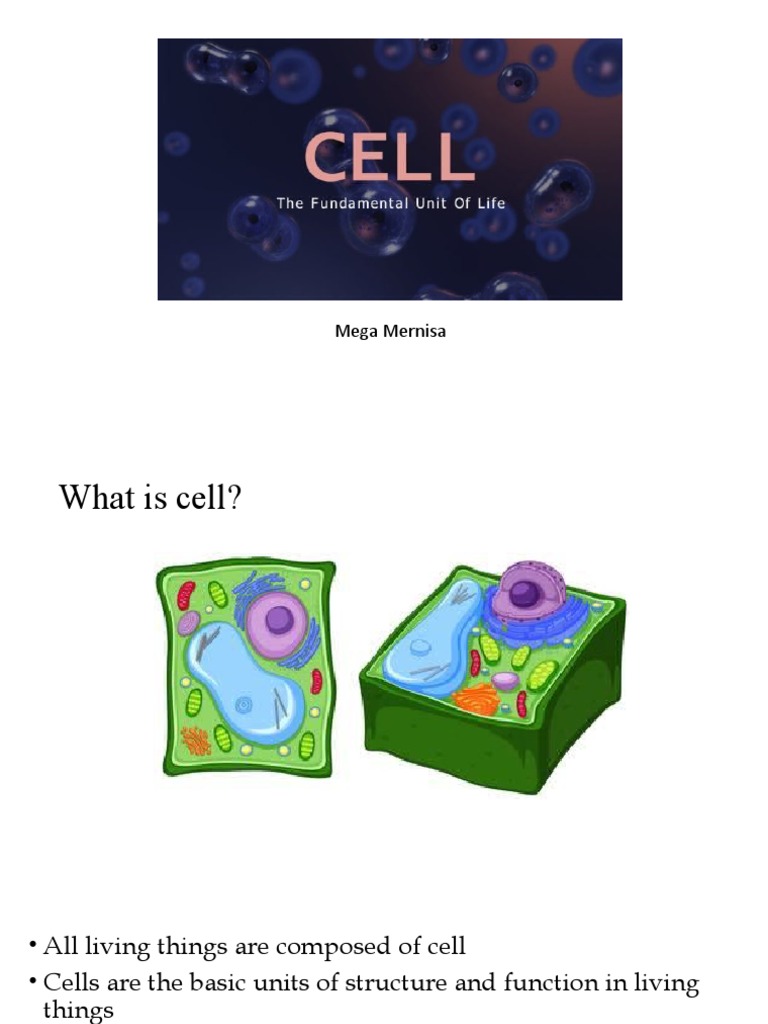 Understanding Cells: Types and Functions | PDF
