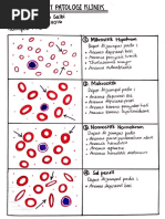 Anemia Normositik Normokrom | PDF