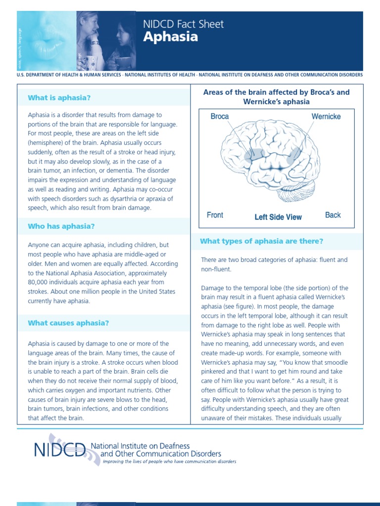 Understanding Aphasia: Types and Treatment | PDF | Aphasia | Speech