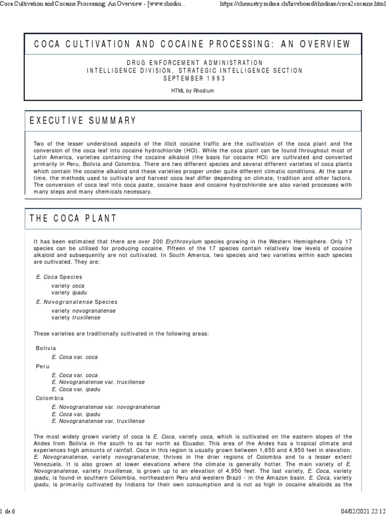 Coca Cultivation & Cocaine Processing - An Overview | Download Free PDF ...