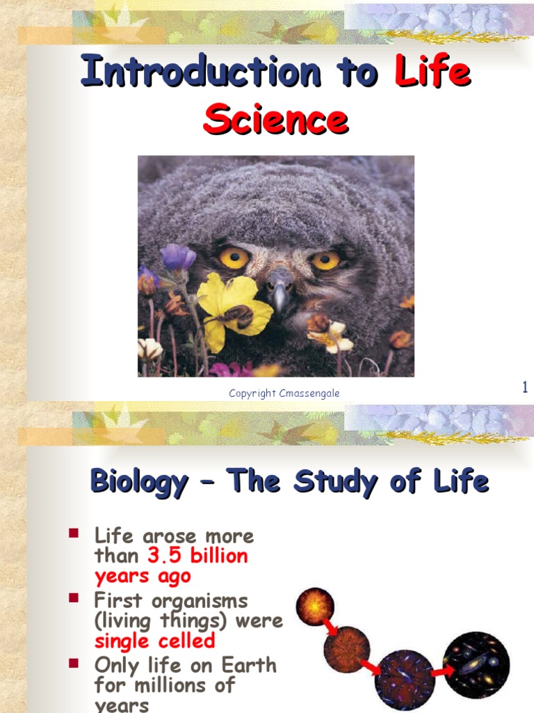 Introduction To Biology | PDF | Organisms | Cell (Biology)