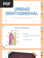 Clasificación de Carl Misch Dianelsty | PDF