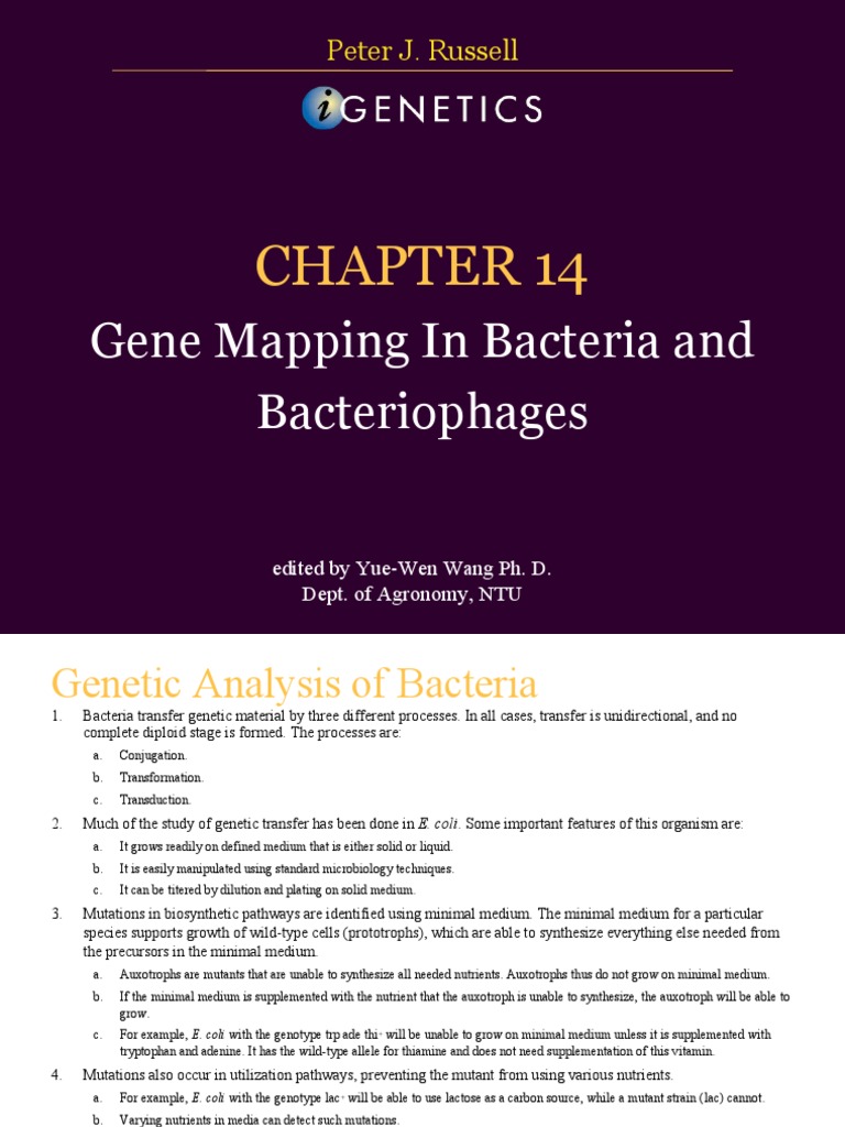 Gene Mapping in Bacteria and Bacteriophages: Peter J. Russell | PDF ...