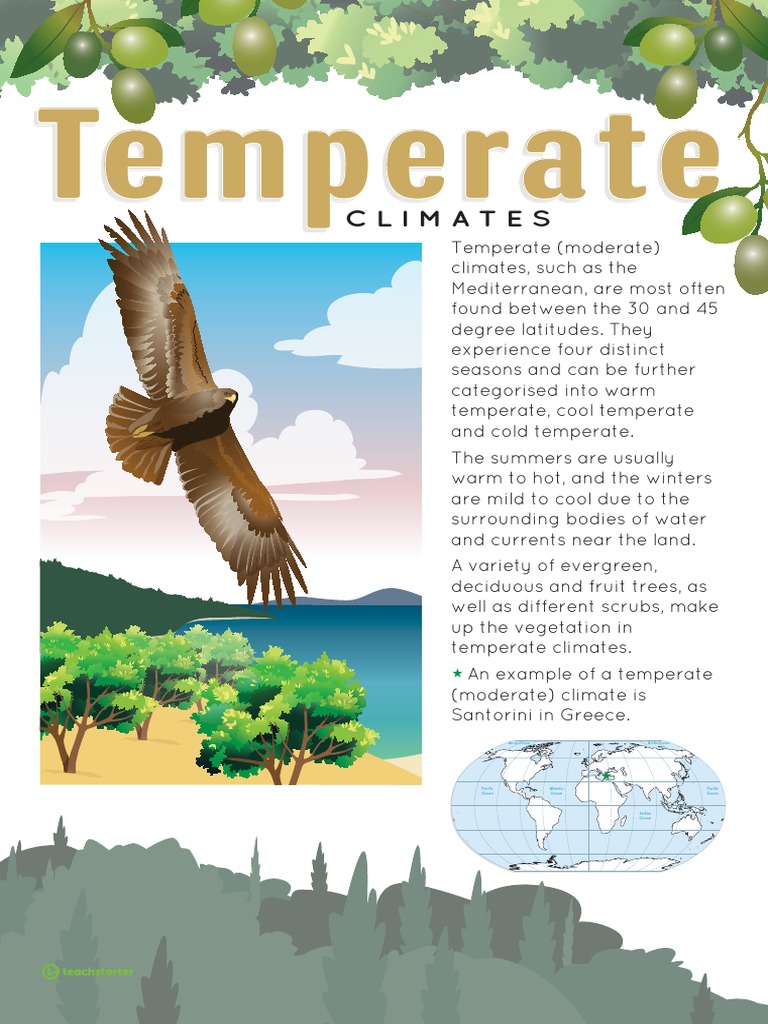 Teachstarter 166986 Poster Climate Zones Temperate v2 | PDF