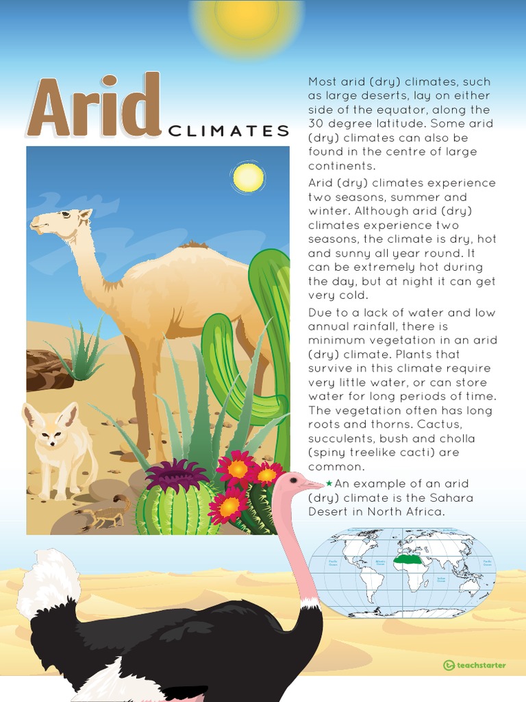 Understanding Arid Climates and Vegetation | PDF