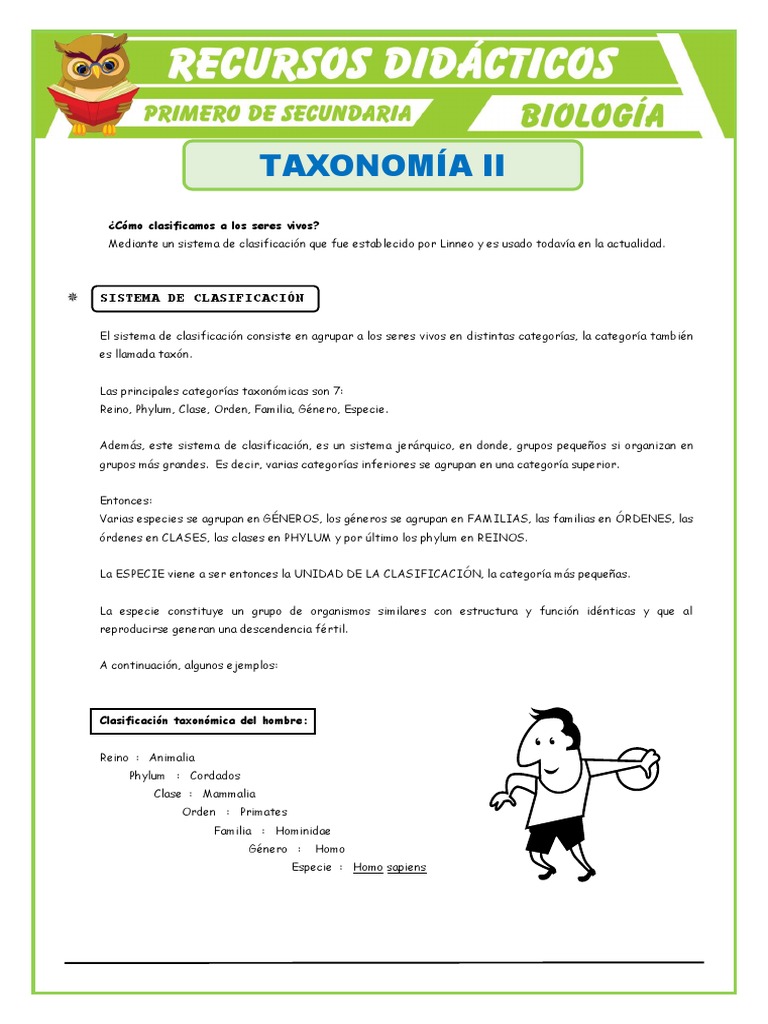Taller Taxonomia - SEXTO | PDF | Las bacterias | Biología