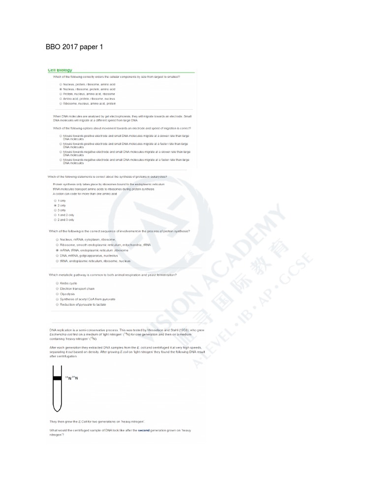 BBO 2017 Paper 1 Summary | PDF