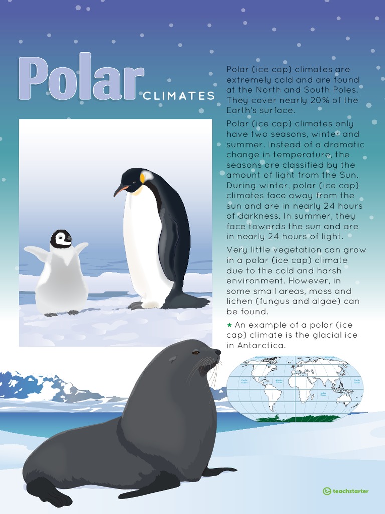 Teachstarter 153858 Poster Climate Zones Polar | PDF