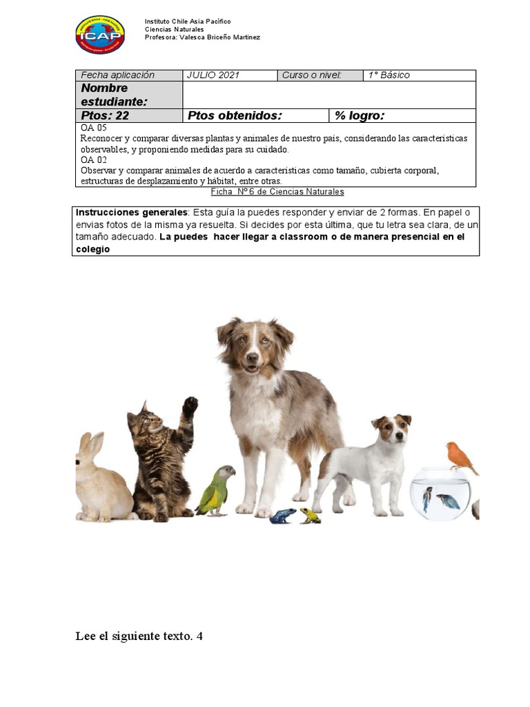 Comparación de Animales y Plantas en 1° Básico | PDF | Ciencia y ...