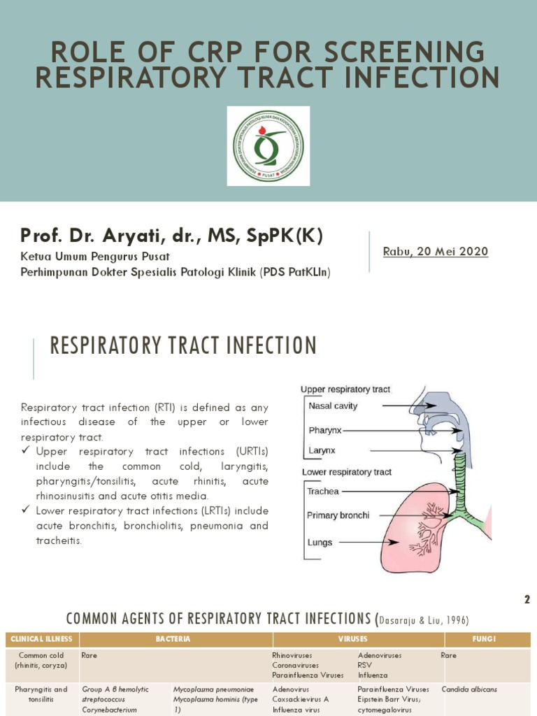 Role of CRP For Screening Respiratory Tract Infection: Prof. Dr. Aryati ...