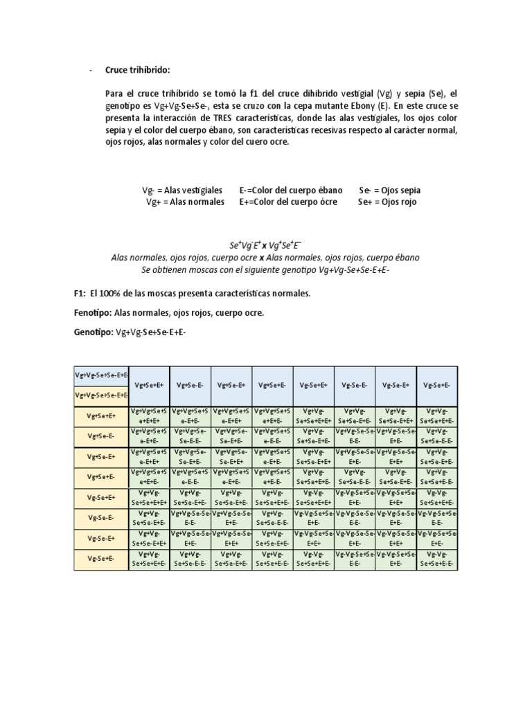 Cruce Trihibrido | PDF | Genotipo | Genética