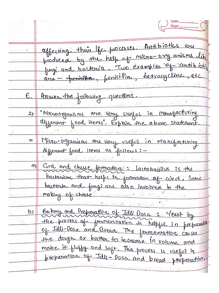 Dav Class 8 Chapter 2 (E) | PDF