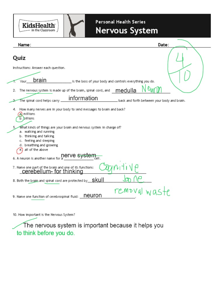 Nervous System Quiz for Students | PDF