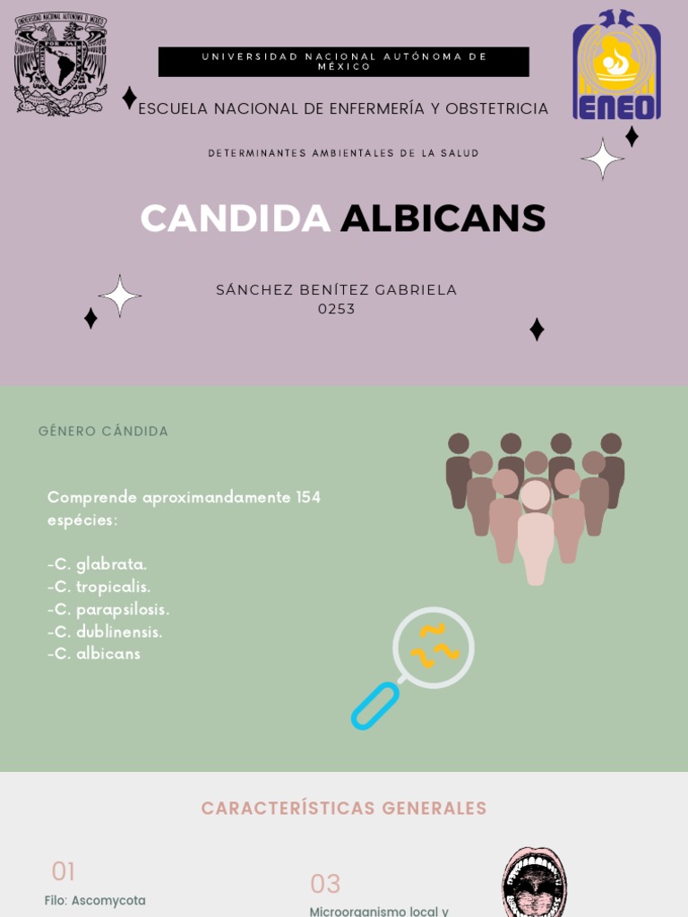 Candida Albicans: Patogénesis y Prevención | PDF | Candidiasis ...