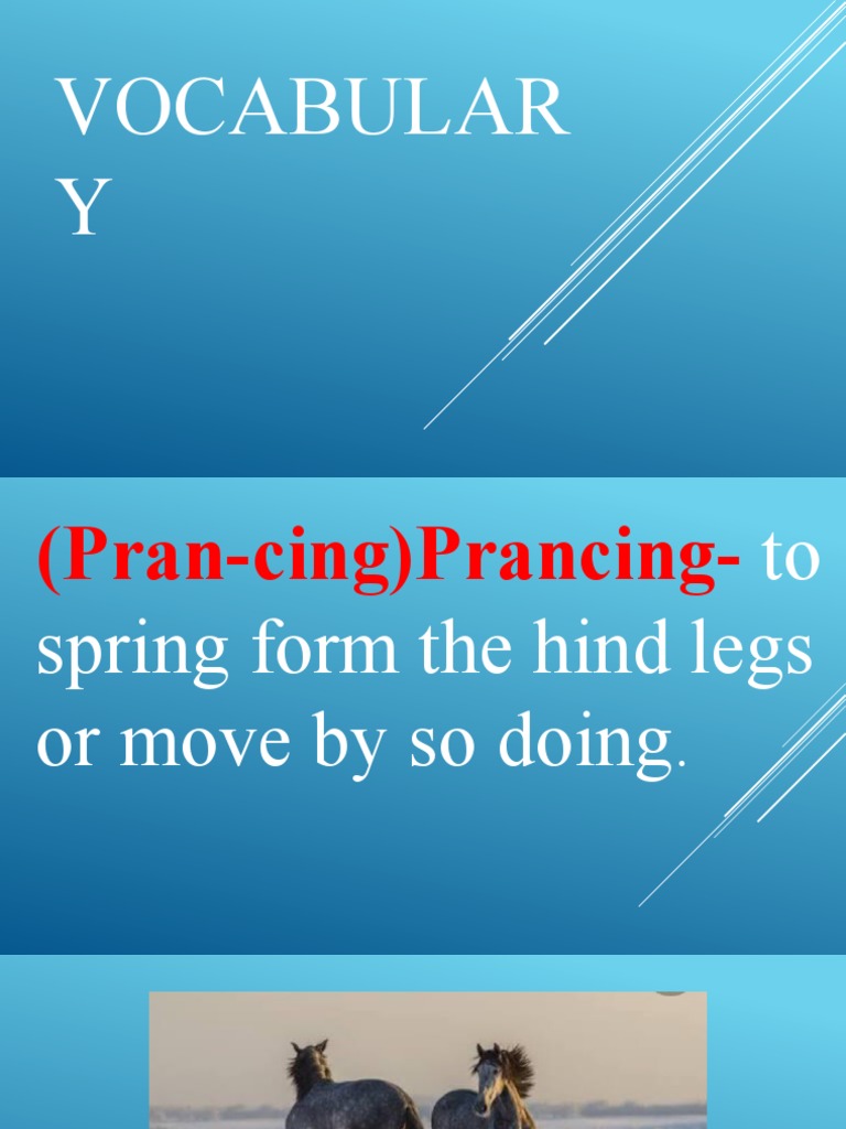 Vocabulary | PDF | Young Adult