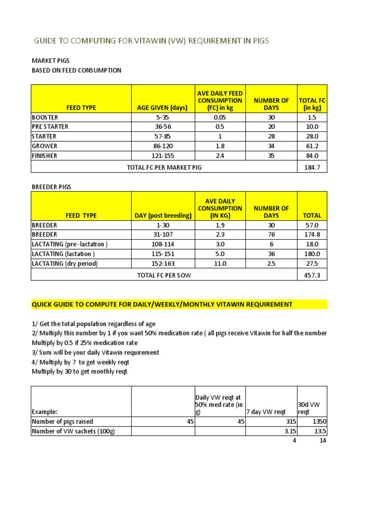 Guide To Compute VW Reqt | PDF