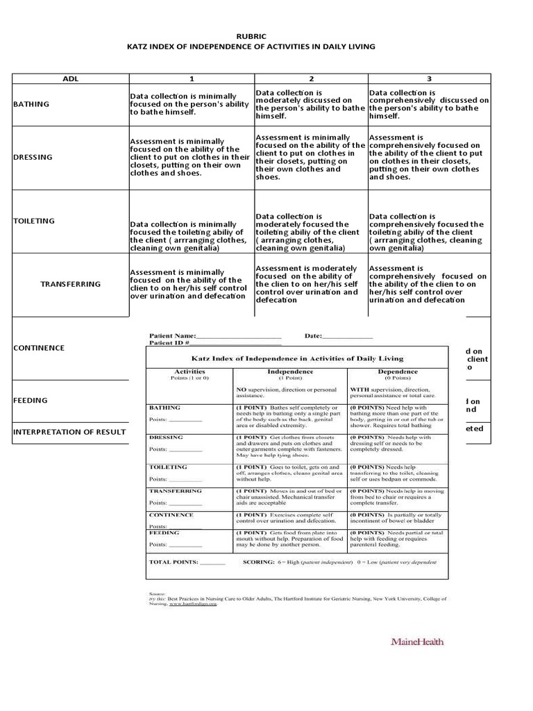 Comprehensive Assessment of Independence in Daily Living Activities ...