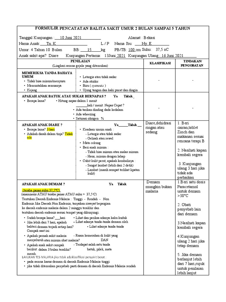 Istiara Anis V - Formulir Pencatatan Balita Sakit Umur 2 Bulan Sampai 5 ...