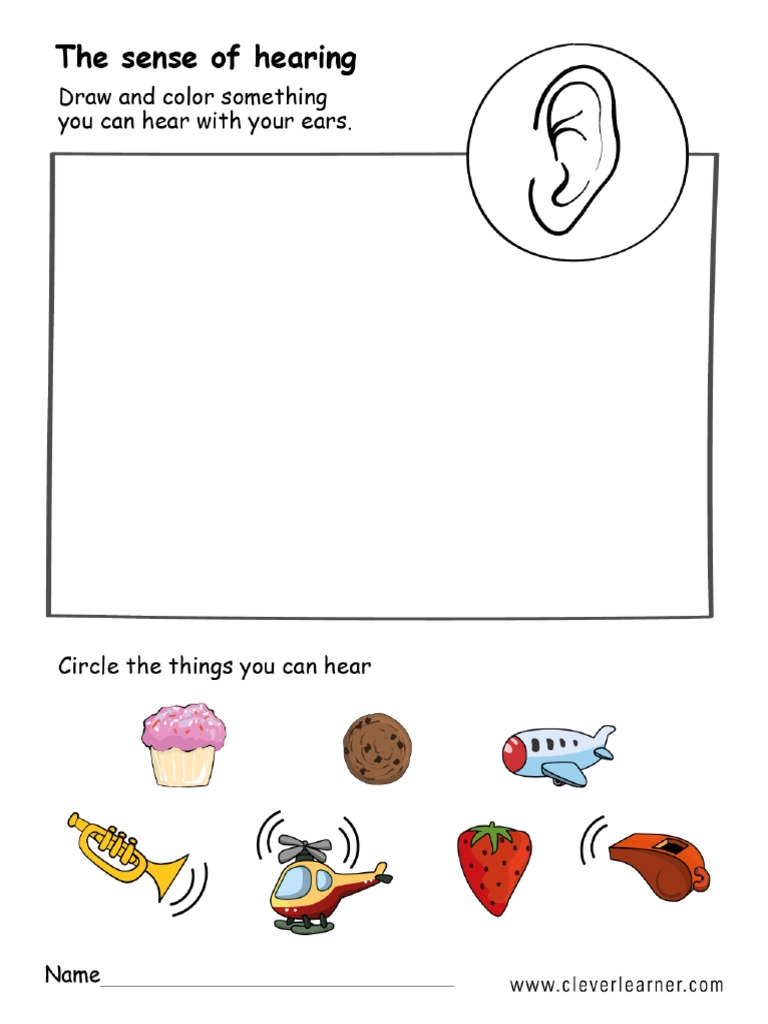 The Sense Of Hearing Worksheet Preschool Pdf