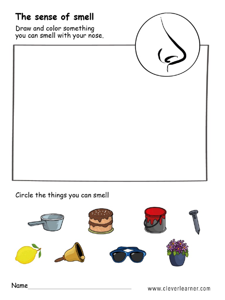 The Sense of Smell Preschool Worksheet | PDF