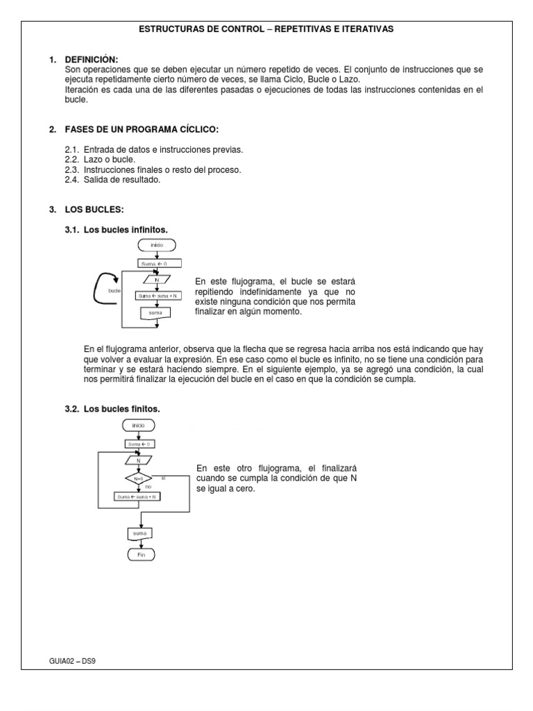 Guía Estructuras Repetitivas | PDF | Programa de computadora | Programación