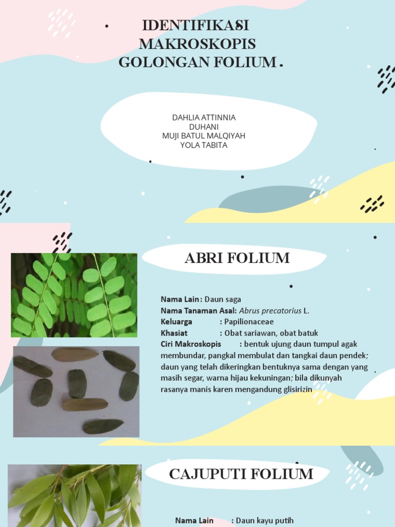 Identifikasi Folium Tanaman Obat | PDF | Sains & Matematika