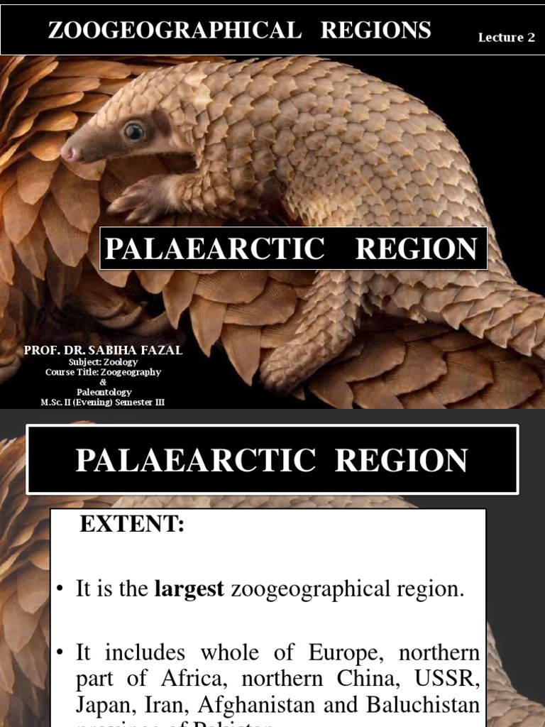 Pal A Ear Tic Region | PDF | Reptile | Zoology