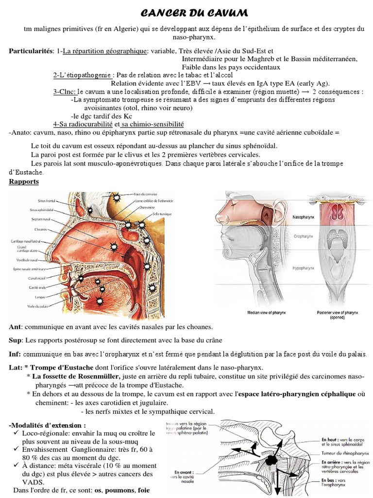 Cancer Du Cavum | PDF | Tomographie par émission de positons ...