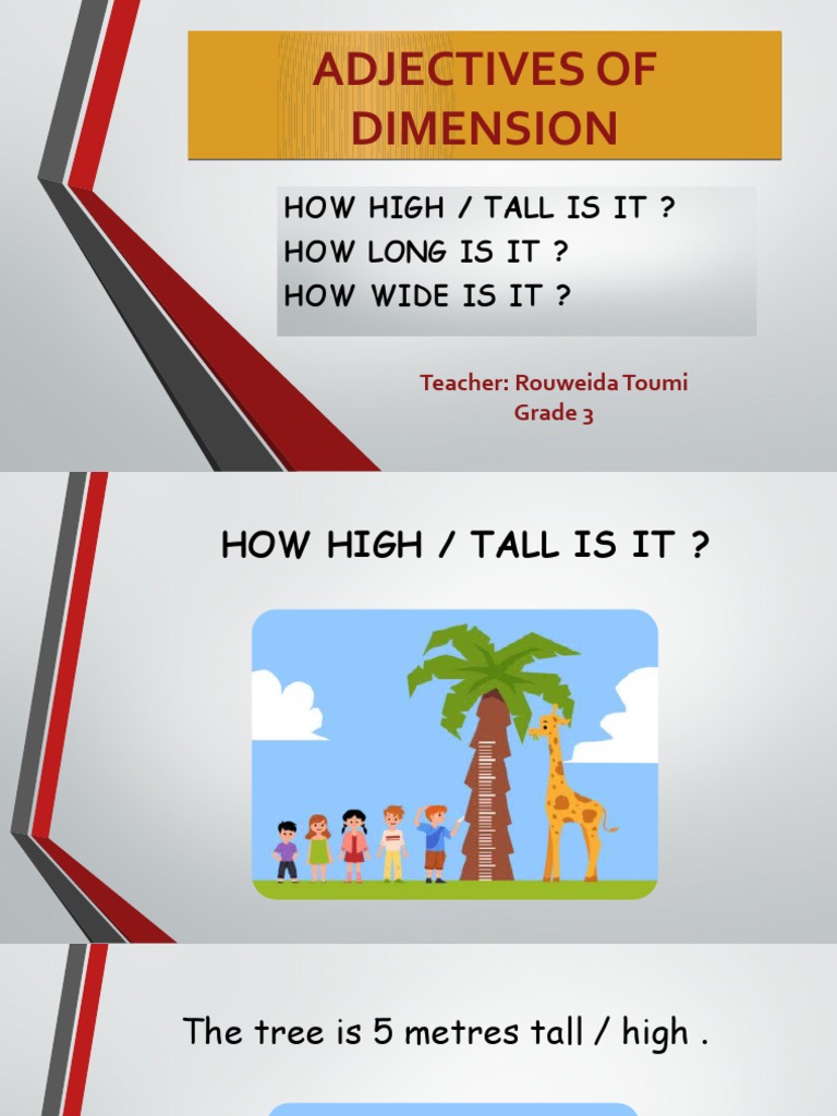 Adjectives of Dimension | PDF