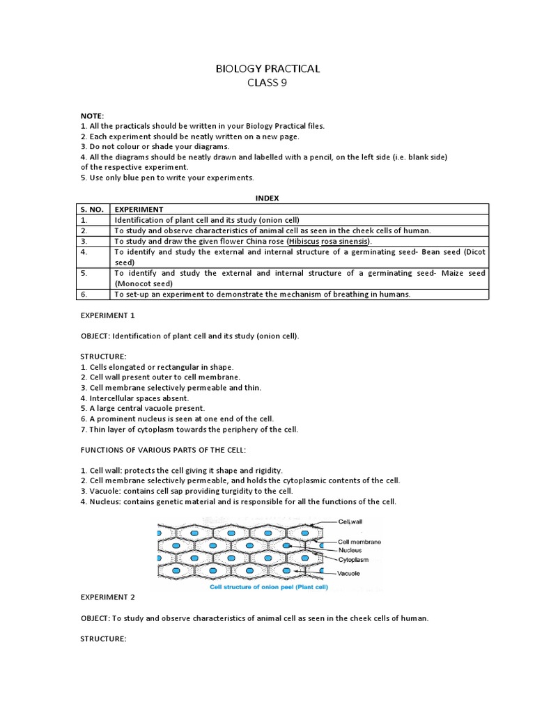 BIOLOGY PRACTICAL (First Term Class 9) | PDF | Seed | Cell (Biology)