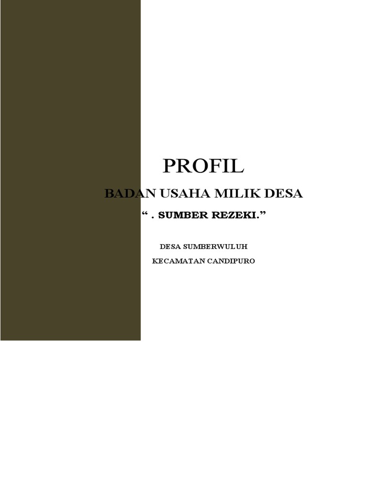 Formulir Isian Profil Bumdes | PDF