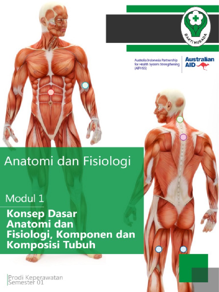 Modul 1 - Konsep Dasar Anatomi Fisiologi, Komponen Dan Komposisi Tubuh | PDF