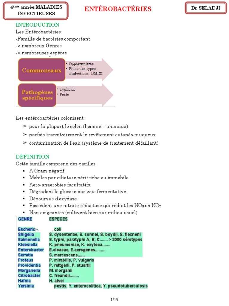 01 Entérobactéries | PDF | Escherichia coli | Salmonelle