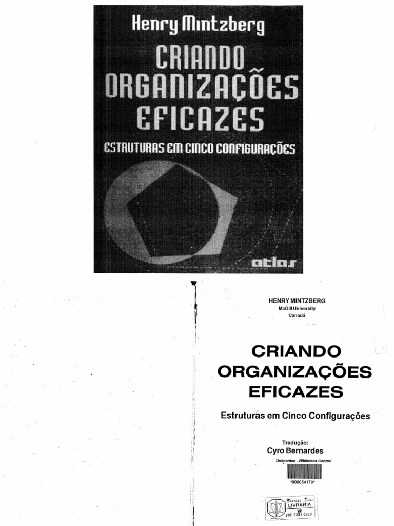 Criando Organizações Eficazes | PDF Criando Organizações Eficazes | PDF