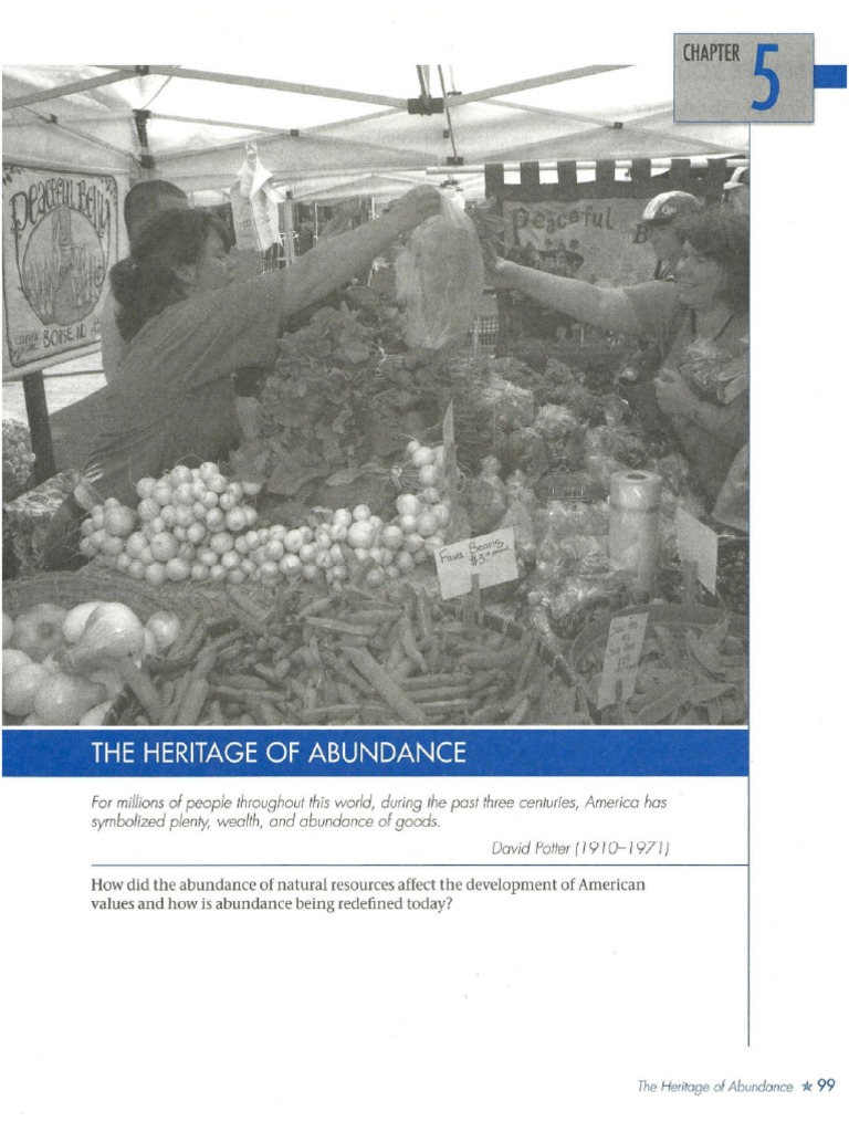 Chapter 5 - American Studies | PDF