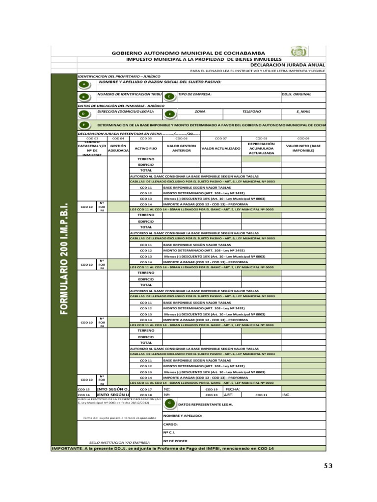 Form 100 | PDF | Economias | Finanzas del gobierno