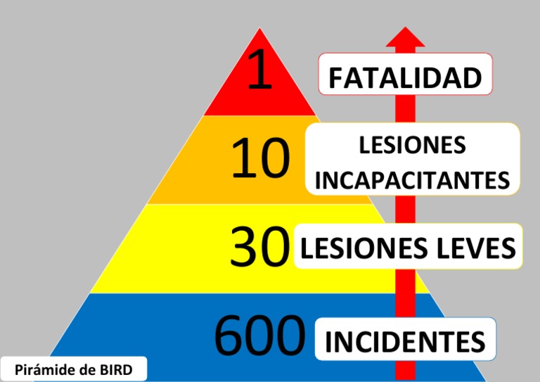 Pirámide de BIRD: Análisis de Riesgos Laborales | PDF