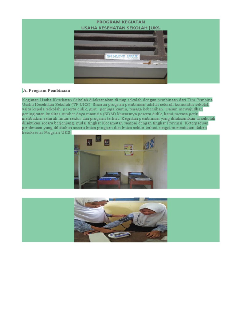 Contoh Program Uks | PDF