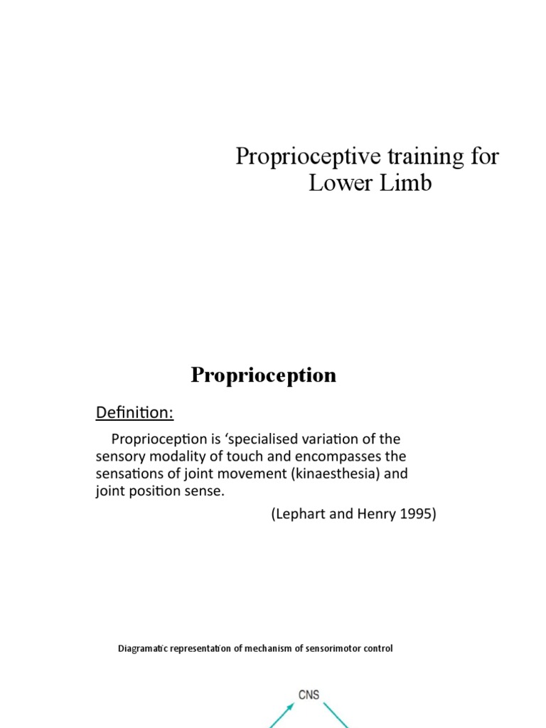 Proprioception of Knee | Download Free PDF | Neuroscience | Physical ...