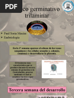 Capas Germinales | PDF | Embrión | Procesos biologicos