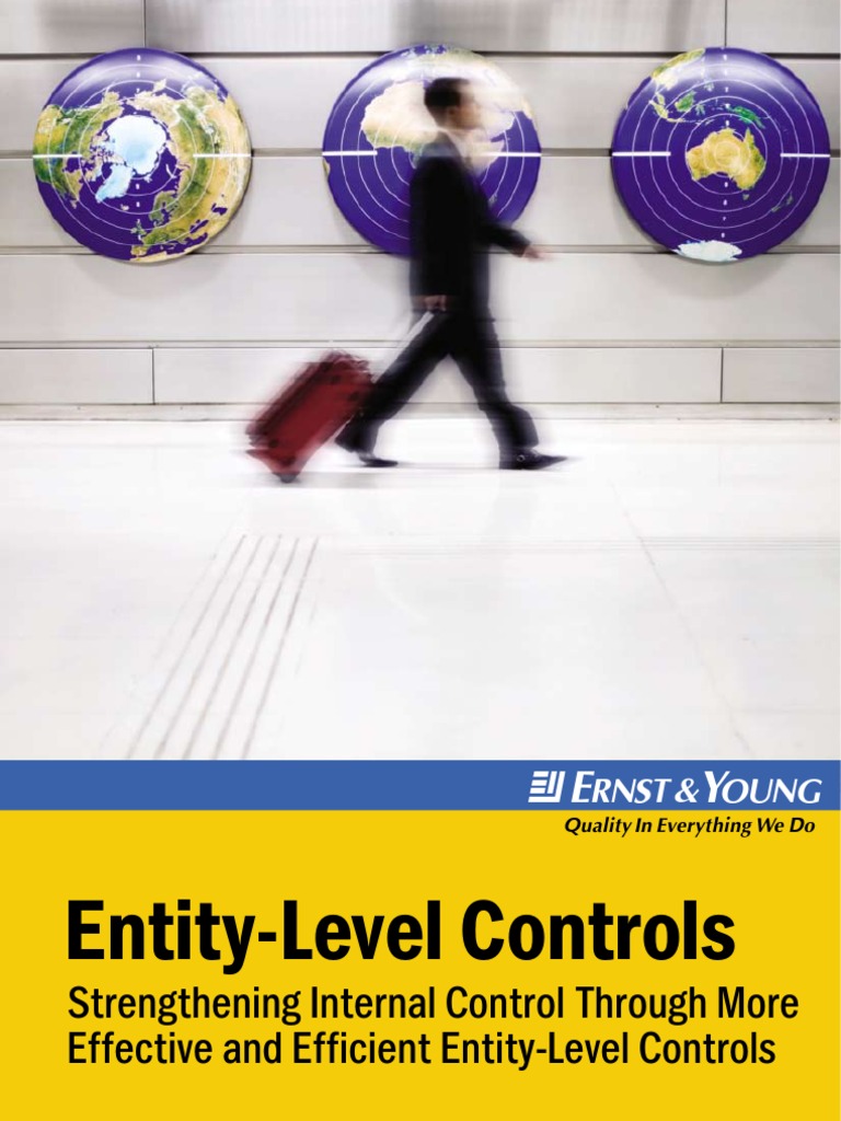 AABS RAS Entity Level Controls | PDF | Internal Control | Business