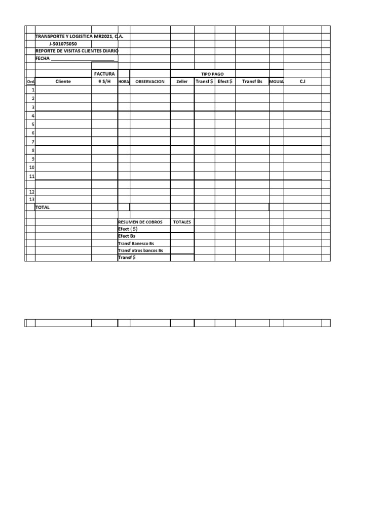 Reporte Diario Visitas Clientes | PDF