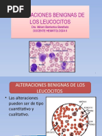 Morfologia de Eritrocitos | PDF | Glóbulo rojo | Hemoglobina