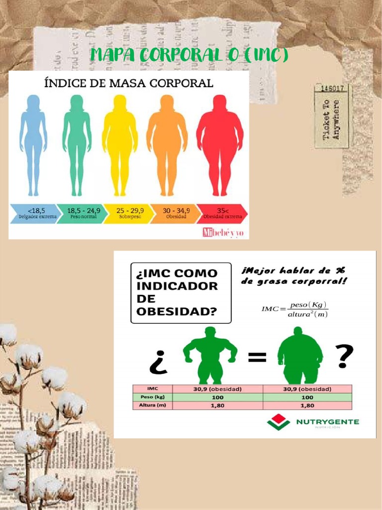 Mapa Corporal e Índice de Masa Corporal | PDF